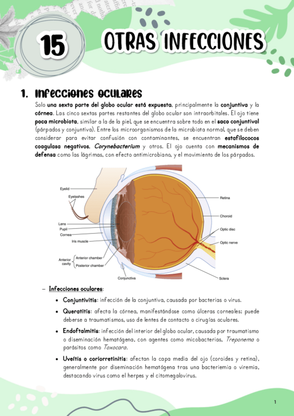 Tema-15.-Otras-infecciones.pdf