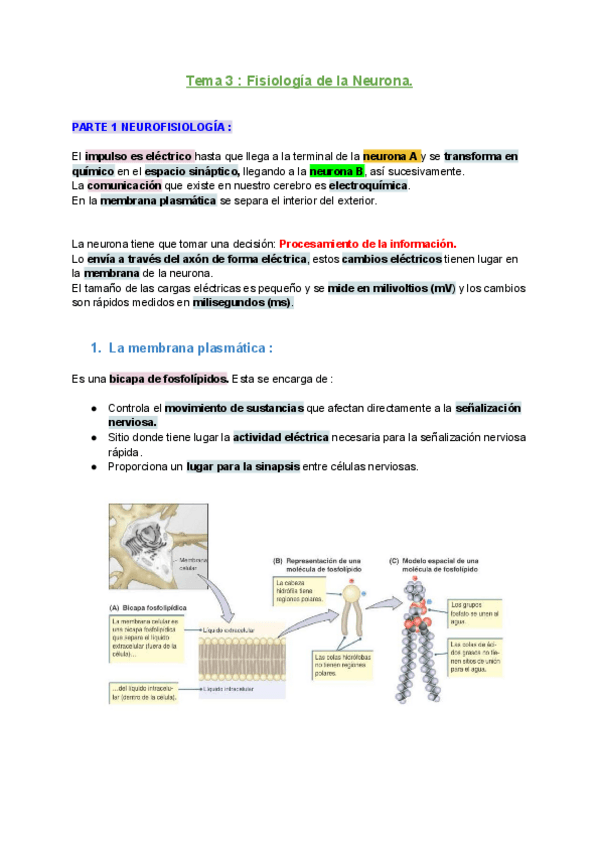 Apuntes de Grado en Psicología | UGR