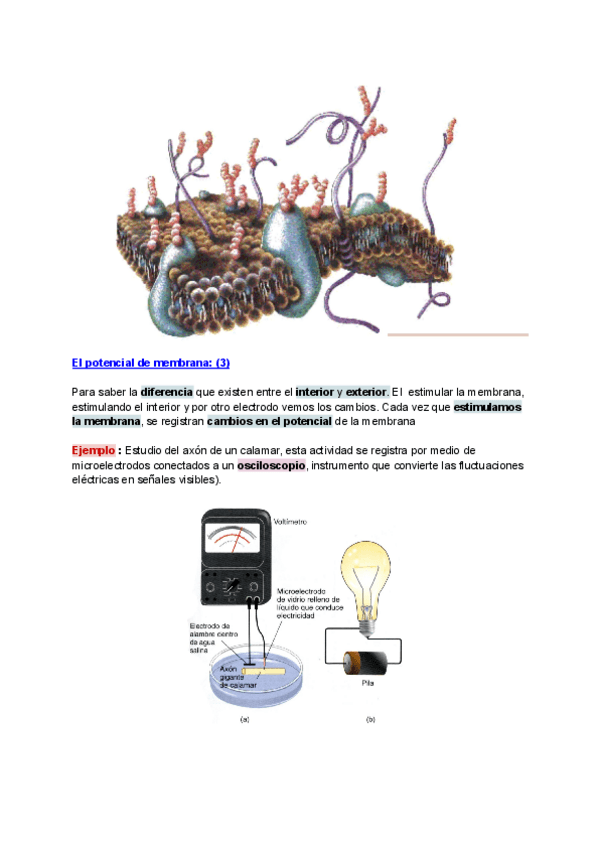 Apuntes de Grado en Psicología | UGR