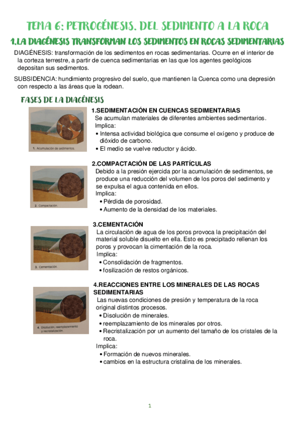 TEMA-6-Petrogenesis.pdf
