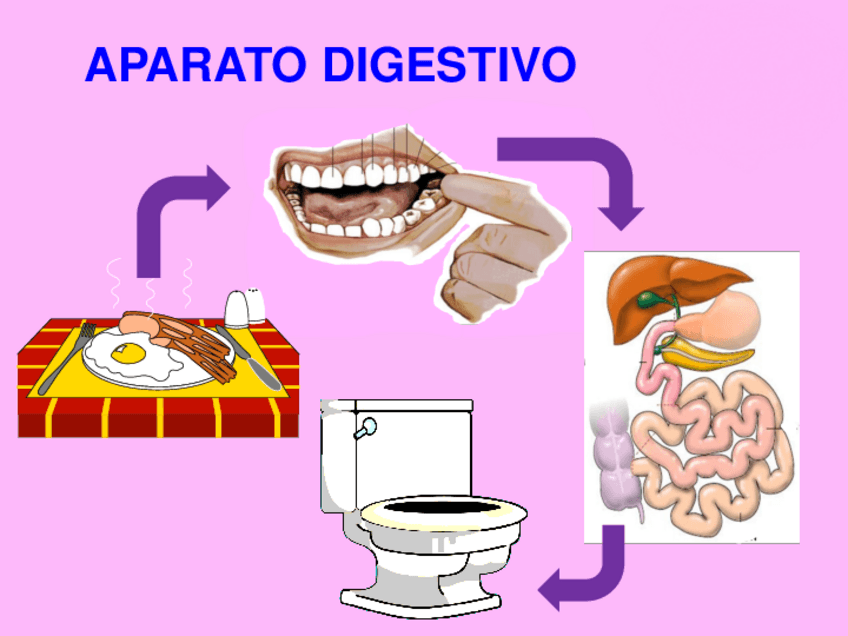 FISPAT-14-DIAPO-B.pdf