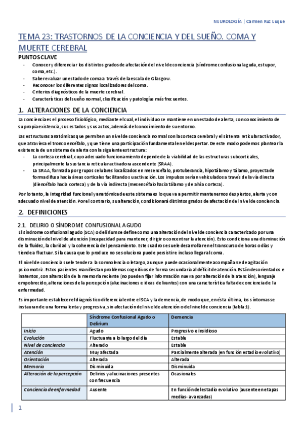 TEMA-23.pdf