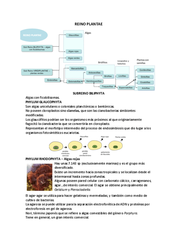 TEMA-2.2-bio.pdf