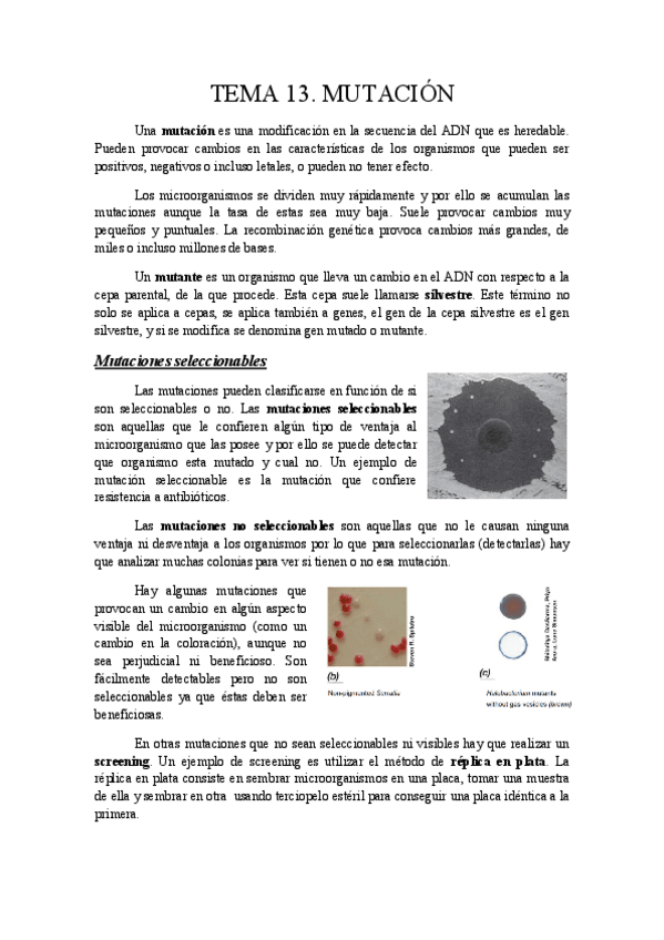 tema 13.pdf