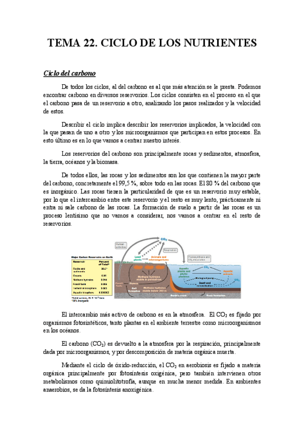 tema 22.pdf