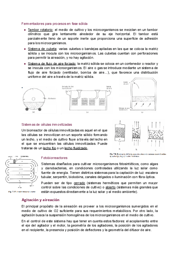 M_Biotec | Grado en Biotecnología - UPO