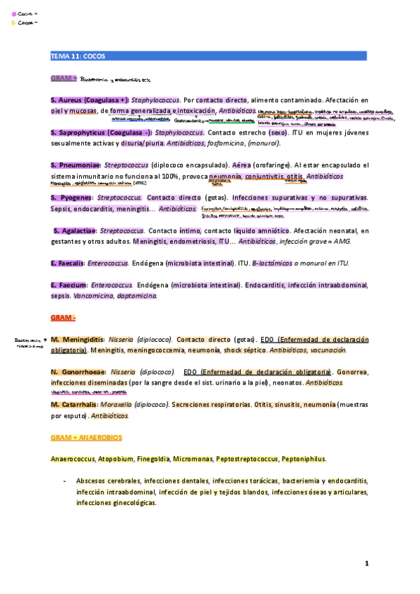 Microbiologia-11-16.pdf