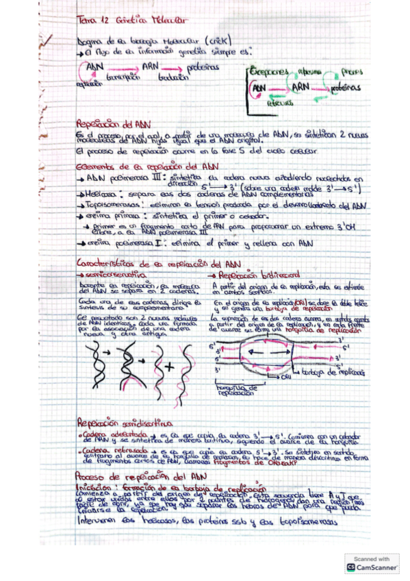 biologia-tema-12.pdf