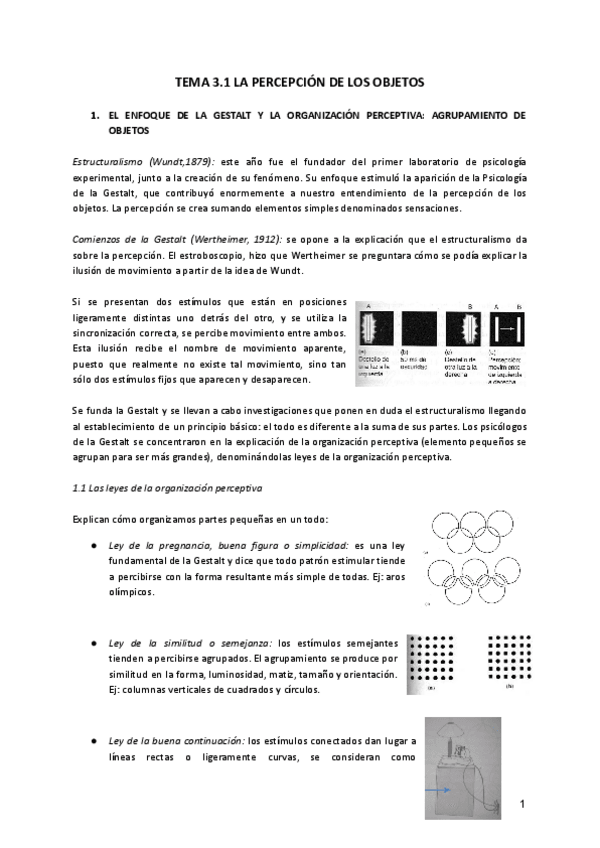 TEMA-3.-LA-PERCEPCION-DE-LOS-OBJETOS-Y-LA-PROFUNDIDAD.pdf