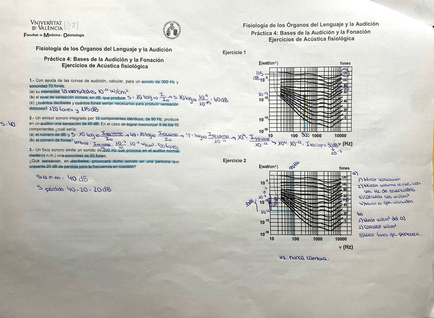 Practica-4-Fisio.pdf