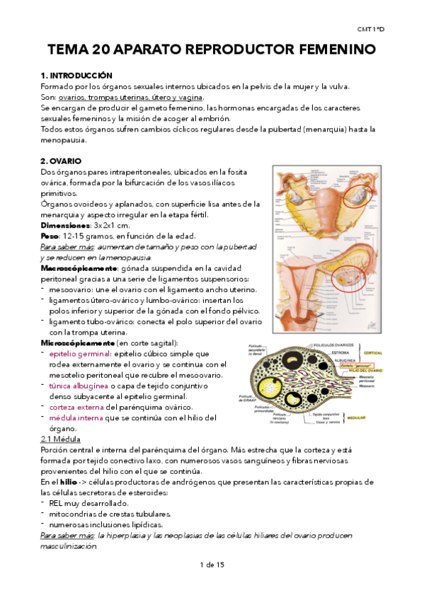 TEMA-20-APARATO-REPRODUCTOR-FEMENINO.pdf
