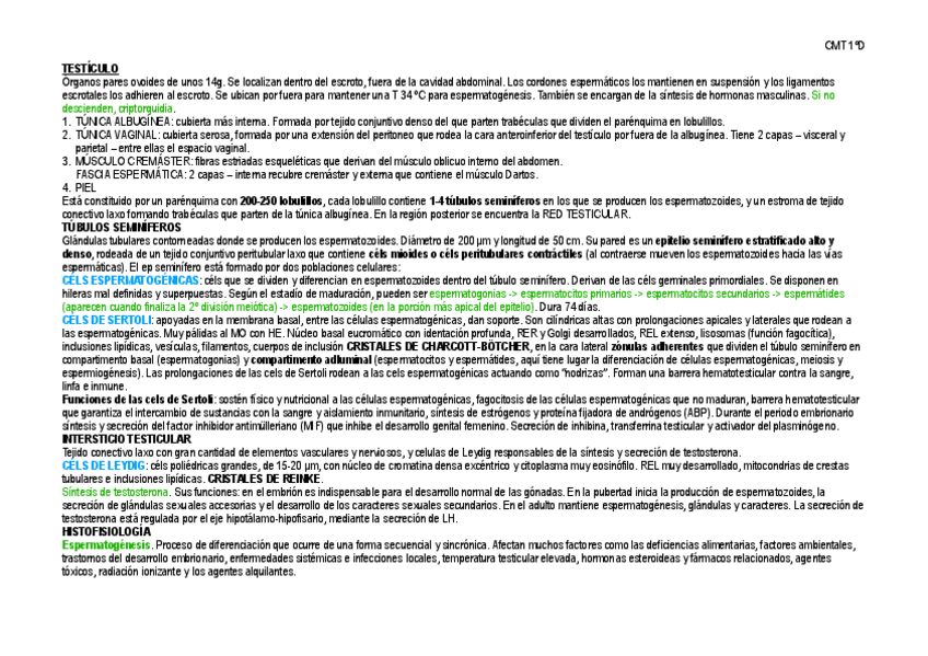 RESUMEN-AP-MASCULINO.pdf