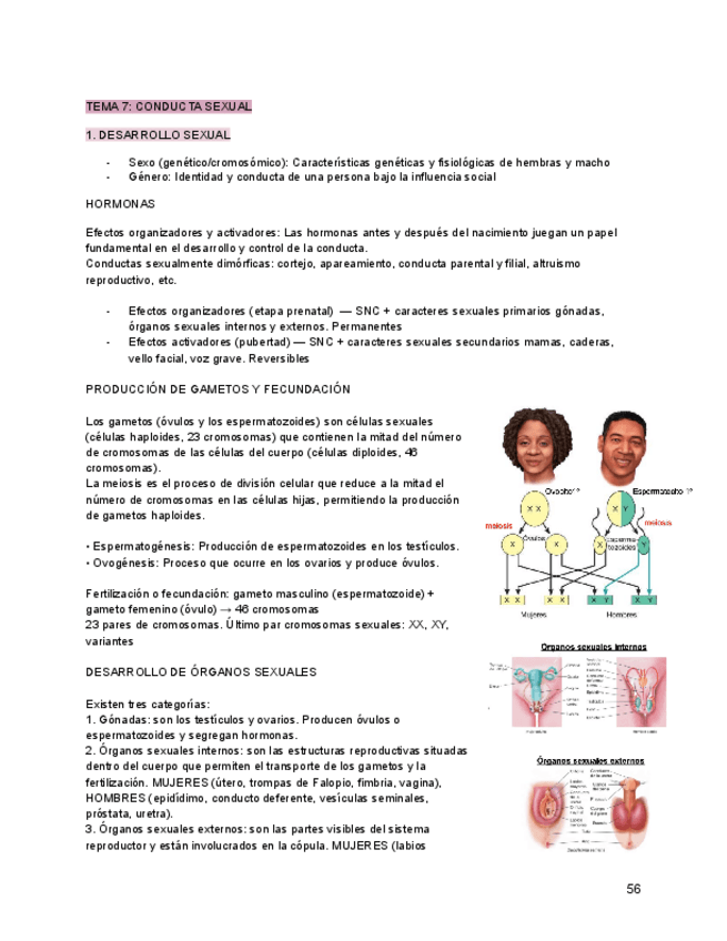 Temario-Psicologia-Fisiologica-t7.pdf