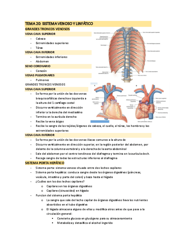 TEMAS-20-23-DE-ANATOMIA.pdf