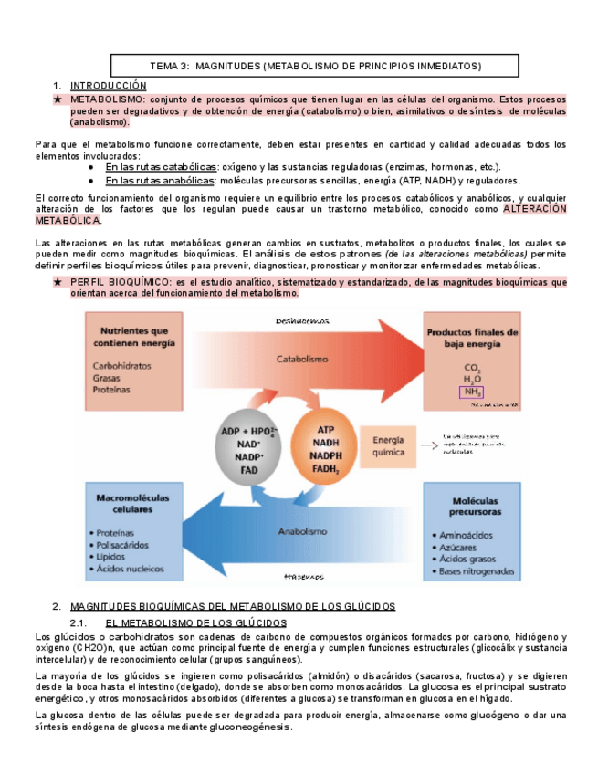 TEMA-3-MAGNITUDES-DE-PRINCIPIOS-INMEDIATOS-Y-PRODUCTOS-FINALES-DEL-METABOLISMO-.pdf