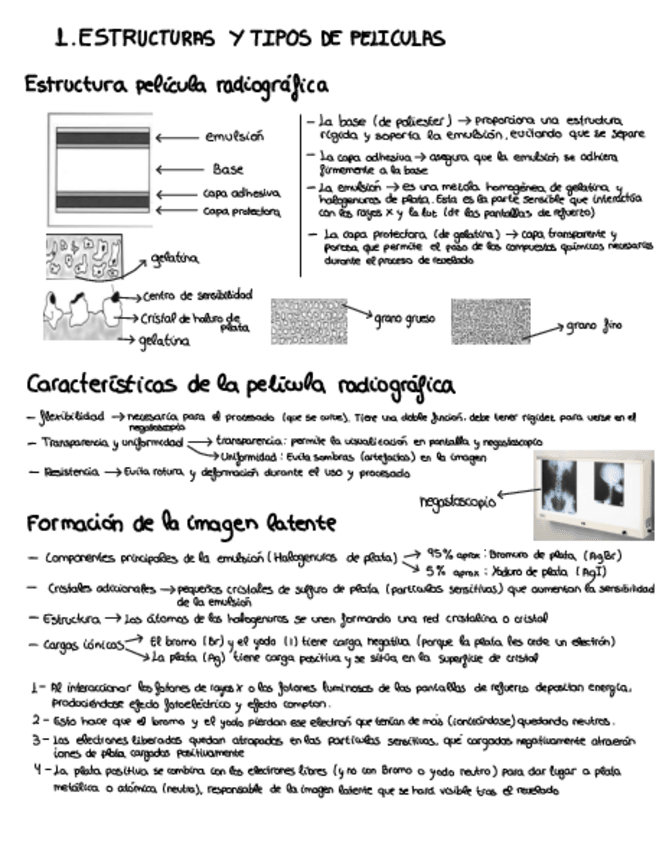 TEMA-3-FUNDAMENTOS.pdf