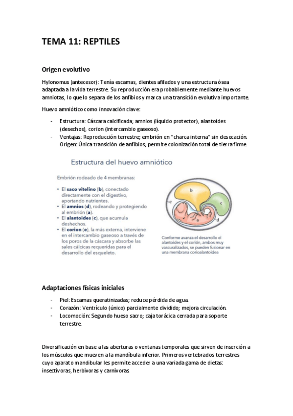 Biologia-animal-Reptiles-aves-y-mamiferos.pdf