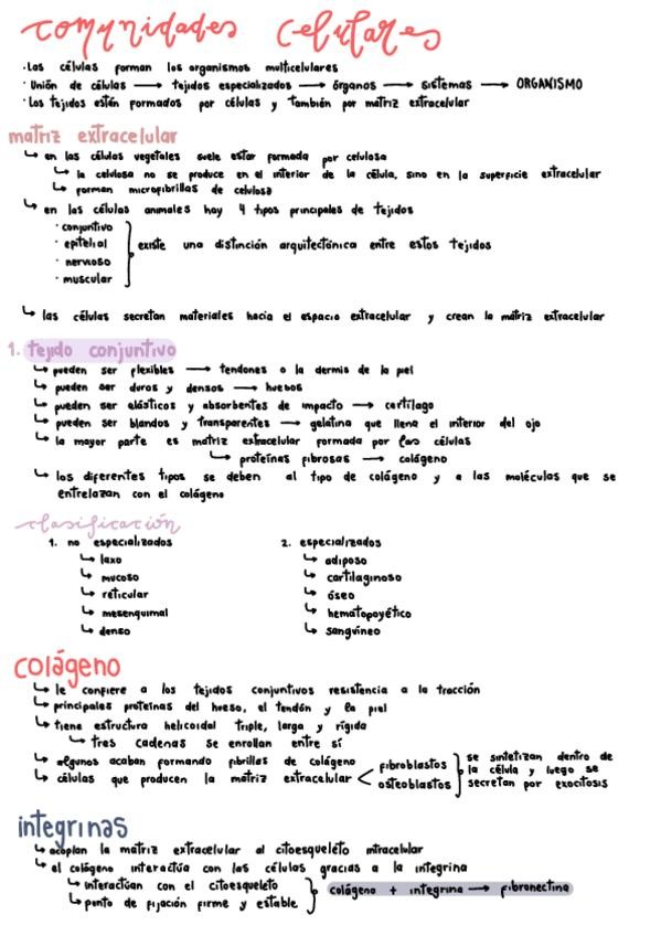 Tema-11-Comunidades-Celulares.pdf