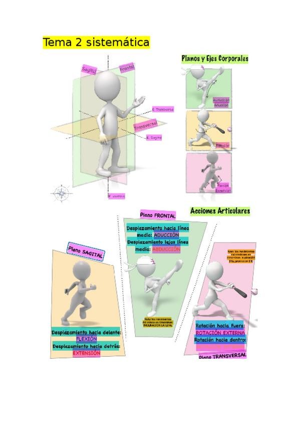 Tema-2-sistematica-en-limpio.docx