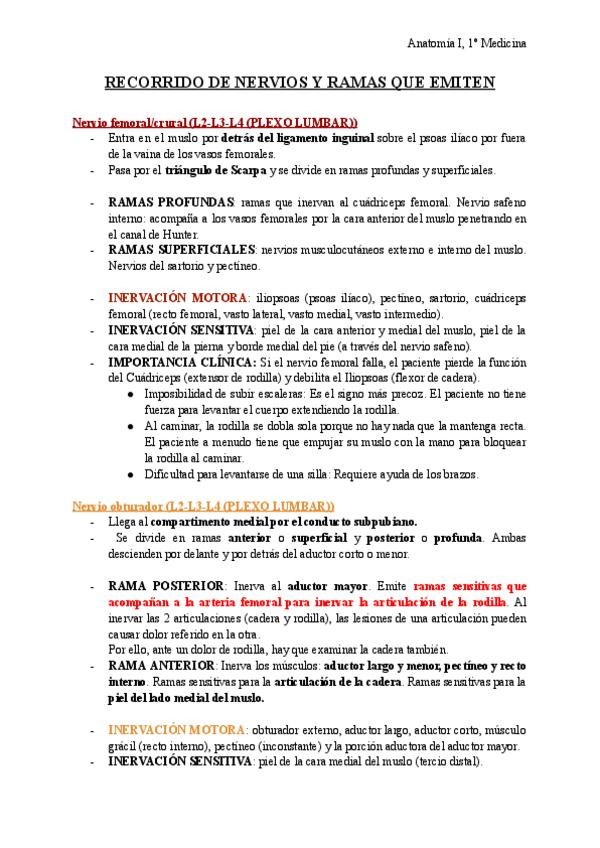 Recorrido-de-nervios-y-ramas-que-emiten-MI.pdf