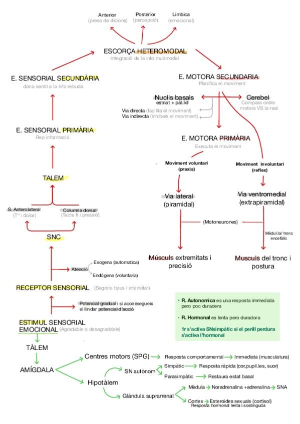 bloc-4-esquema.pdf