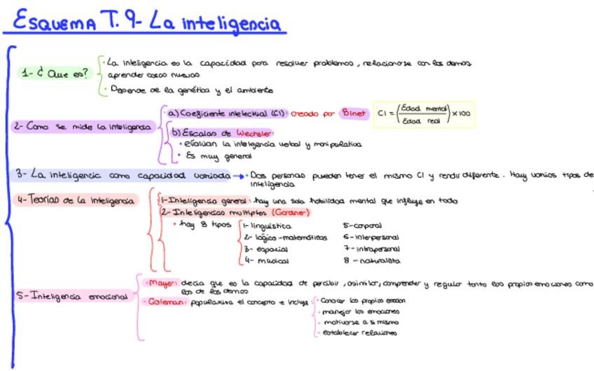 Esquema-T.9-La-Inteligencia.pdf