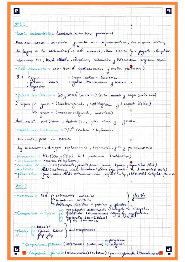 Bio-tema-6-y-7.pdf