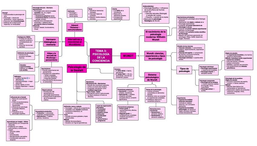 TEMA-3-PSICOLOGIA-DE-LA-CONCIENCIA.pdf