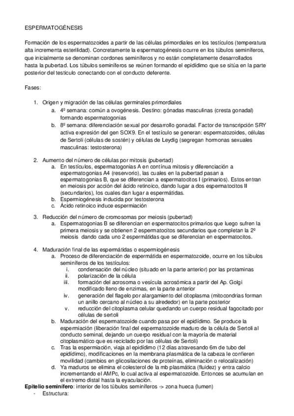 Resumen-tema-espermatogenesis.docx