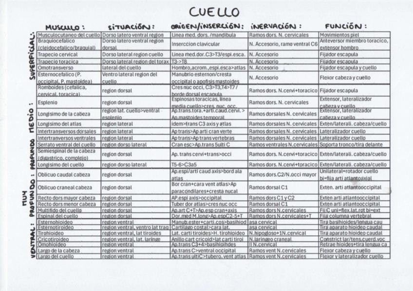 Miologia-Region-del-Cuello.pdf
