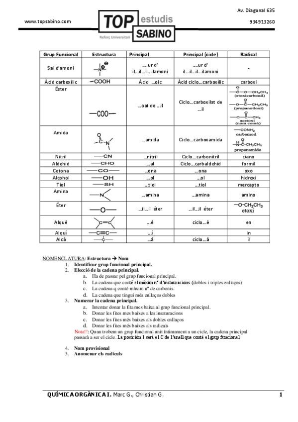 GrupFuncional-per-formulacio-2.docx.pdf