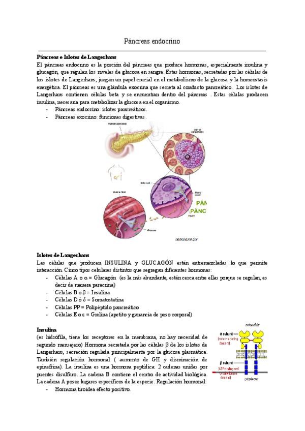 FA-tema-13-pancr.pdf