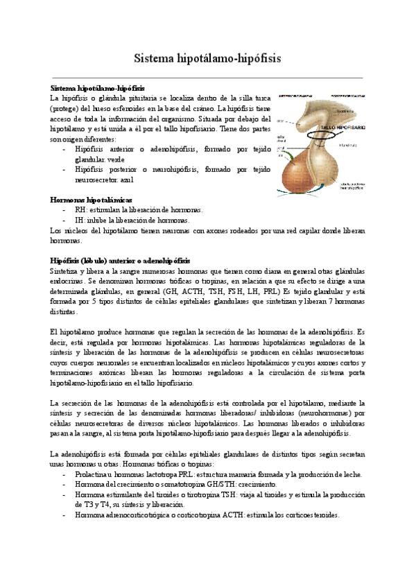 Fa-tema-11-hipotal.pdf