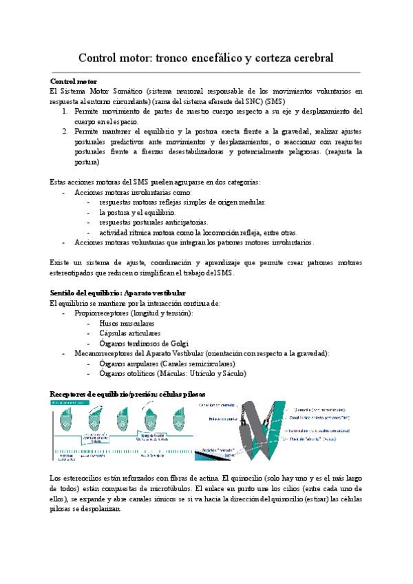 Fa-tema-7-control-motor.pdf