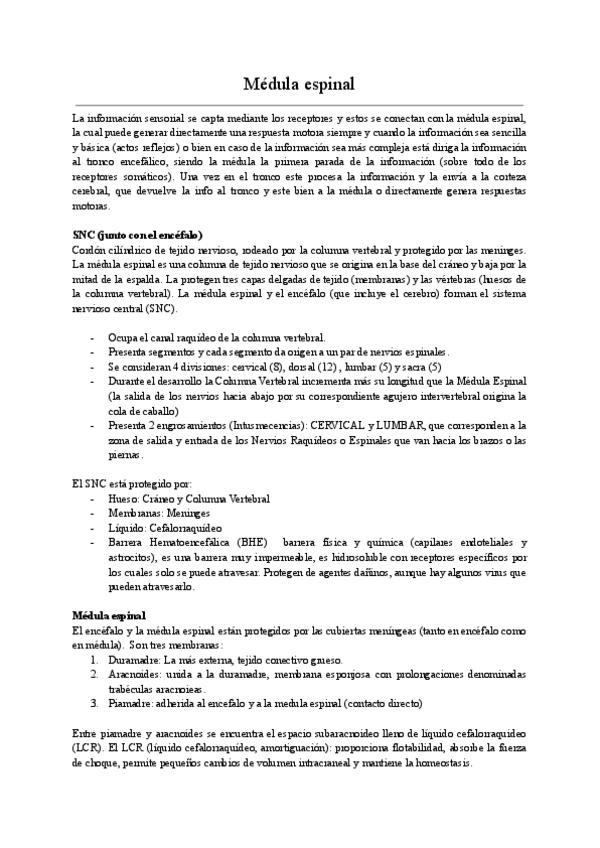 Fa-tema-6-medula.pdf