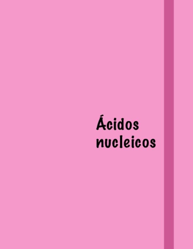 Tema-4-Acidos-Nucleicos-.-Biologia.pdf