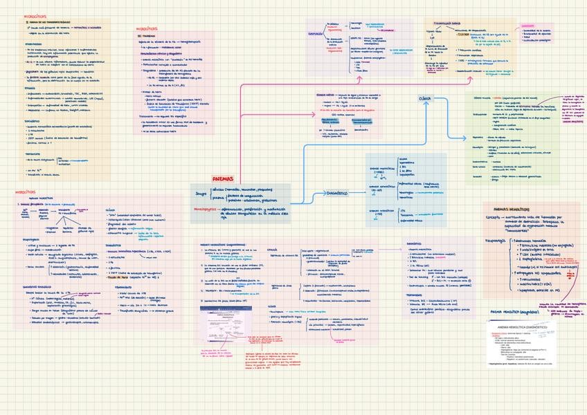 T23-Anemias-medica.pdf