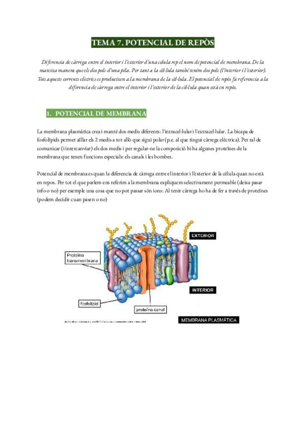 Bio-T.789101112-y-13.pdf
