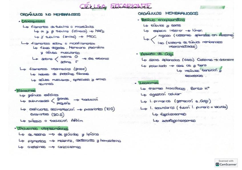 user_6041273 | Prueba de Acceso a la Universidad