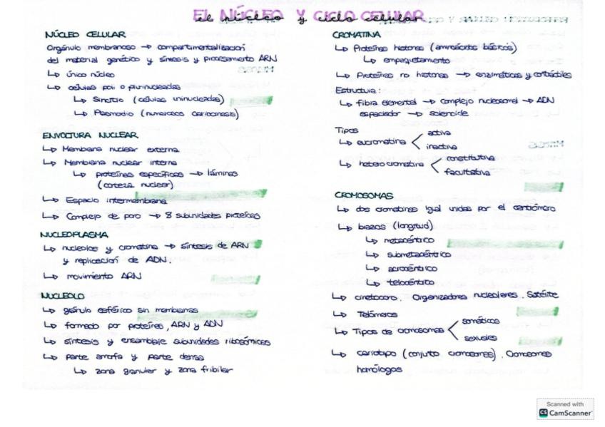 user_6041273 | Prueba de Acceso a la Universidad