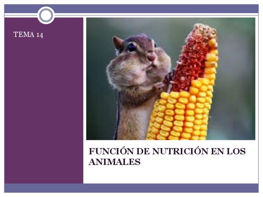 NUTRICION-EN-ANIMALES.pdf