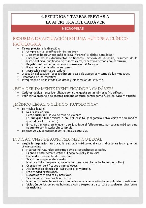 NECROPSIAS-TEMA-4-ESQUEMA-Y-TAREAS.pdf