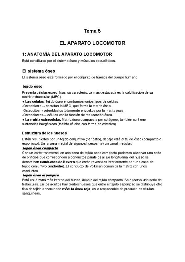 ANATOMIA-TEMA-5.pdf