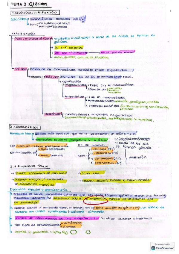 ESQUEMA-GLUCIDOS.pdf