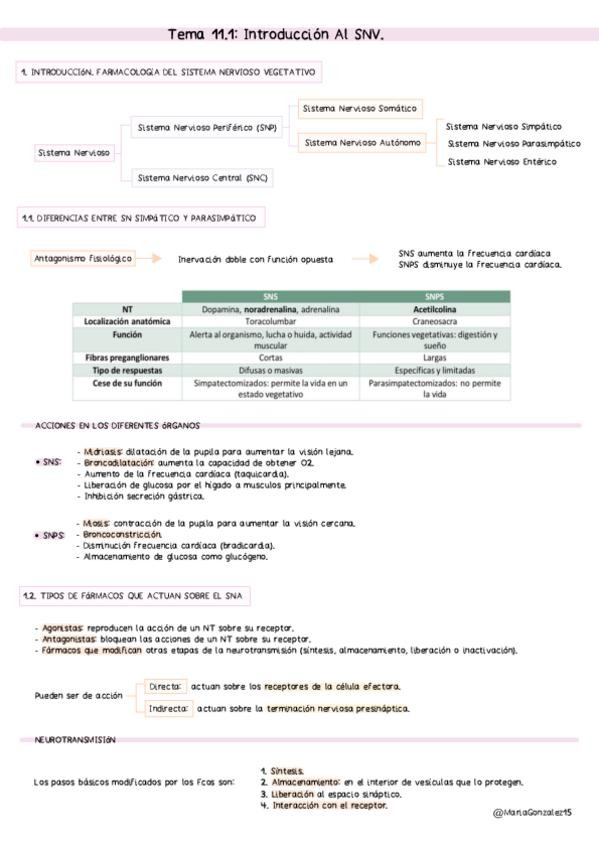 MG.-Tema-11.1-Introduccion-Al-SNV..pdf