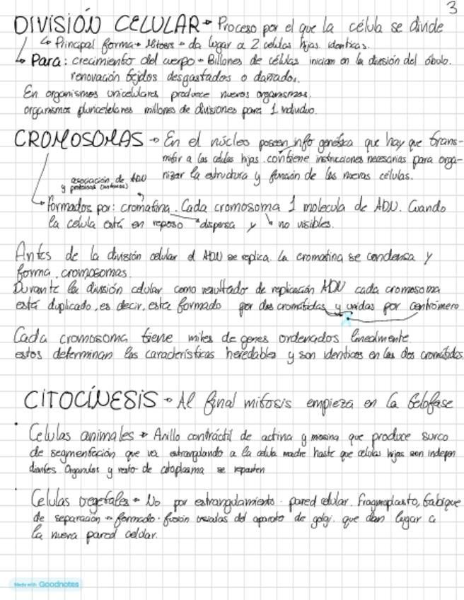 Division-celular-cromosomas-y-citocinesis.pdf