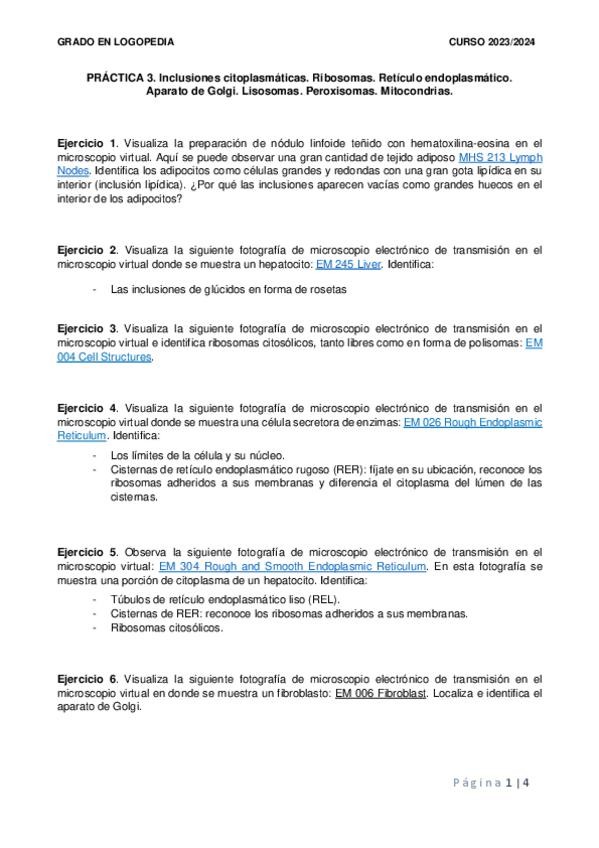 PRACTICA-3.-Inclusiones-citoplasmaticas.-Ribosomas.-RE.-AG.-Lisosomas ...
