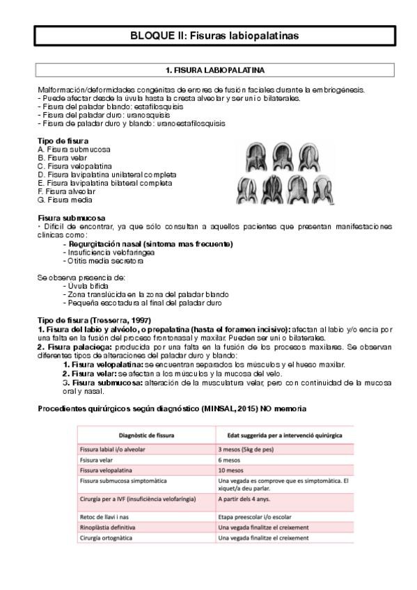 BLOQUE-II.-fisuras-labiopalatinas-imp.pdf