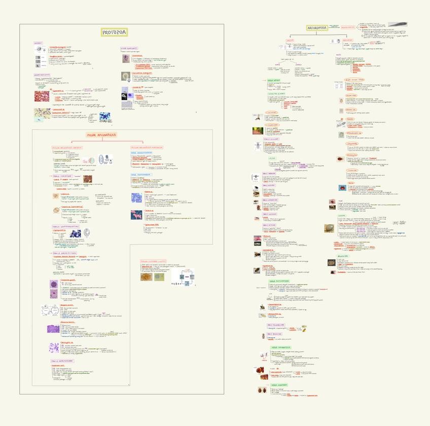 arthropods_protozoa.pdf.pdf